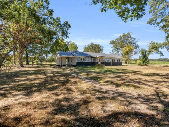 19 County Road 446