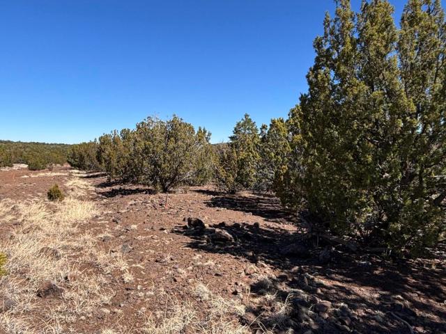 19 County Road 8230