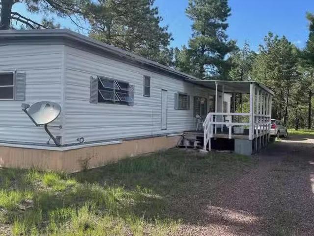 19 COUNTY RD. N2163, Nutrioso, AZ 85932 657953766