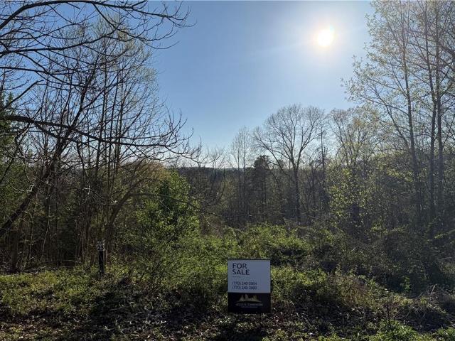 19 Cumberland Ct, Emerson, GA 30137 | MLS #7740 | Compass