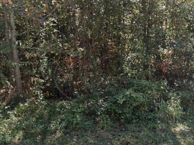 19 Daughtry Ct, Travelers Rest, SC 29690