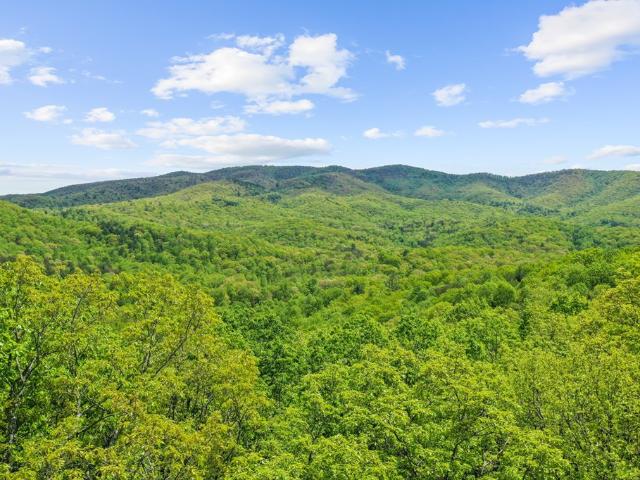 19 Forest Ridge Dr, Blue Ridge, GA 30513 | MLS #416094 | Compass