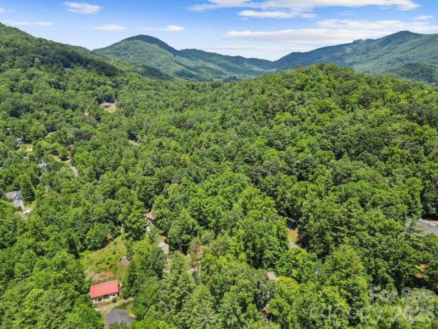 19 Frontier Ct, Asheville, NC 28805 | MLS #4254