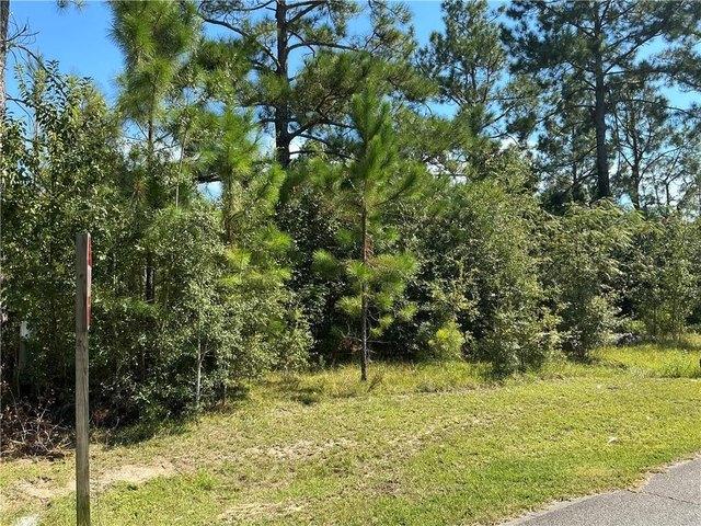 19 Hacklebarney Dr Unit 19, Blackshear, GA 31516
