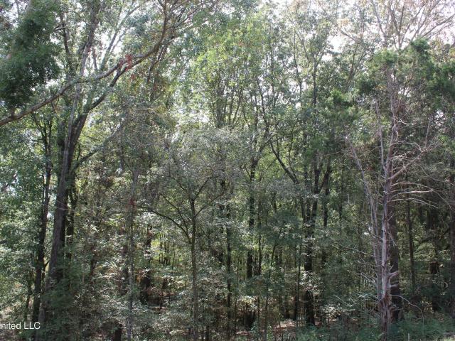 19 Hickory Hollow Road