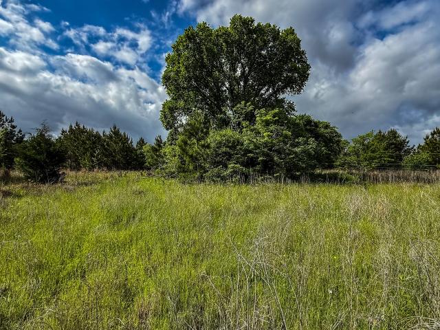 19 Huntsville, TX 77320 | MLS #34165
