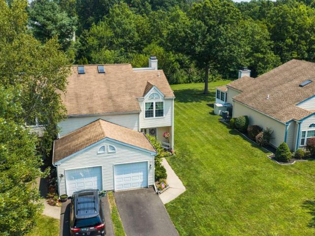 19 Kern Drive