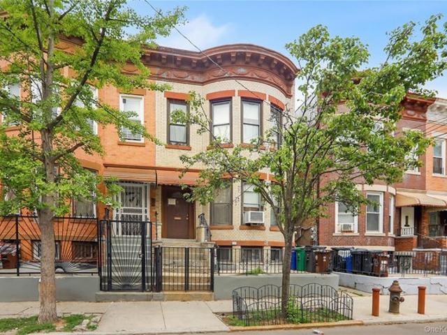 19 Kiely Pl, Brooklyn, NY 11208