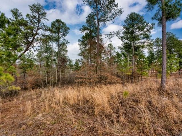 19 Lookout Ln, Kirby, AR 71950