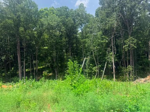 19 Lot Oriole Court