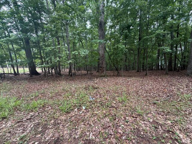 19 Lot Saunders Point Road