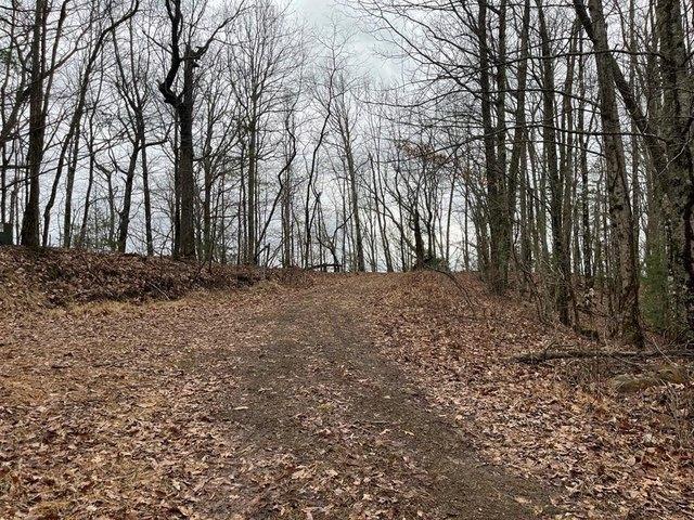 19 Lots Crockett, Hayesville, NC 28904