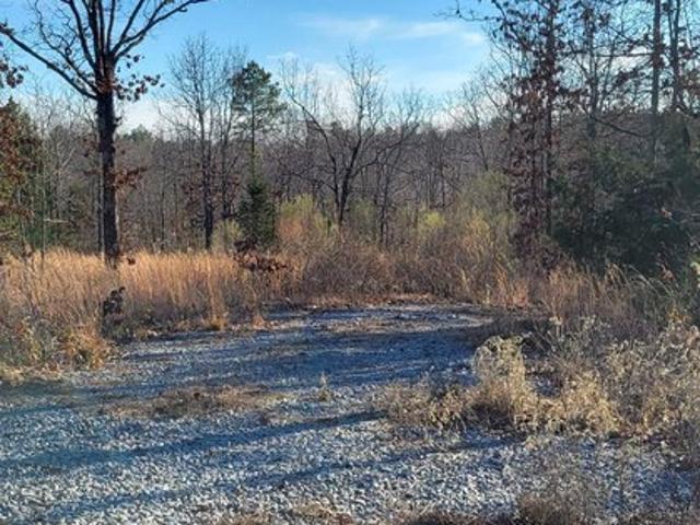 19 Manna Ln, Conway, AR 72032
