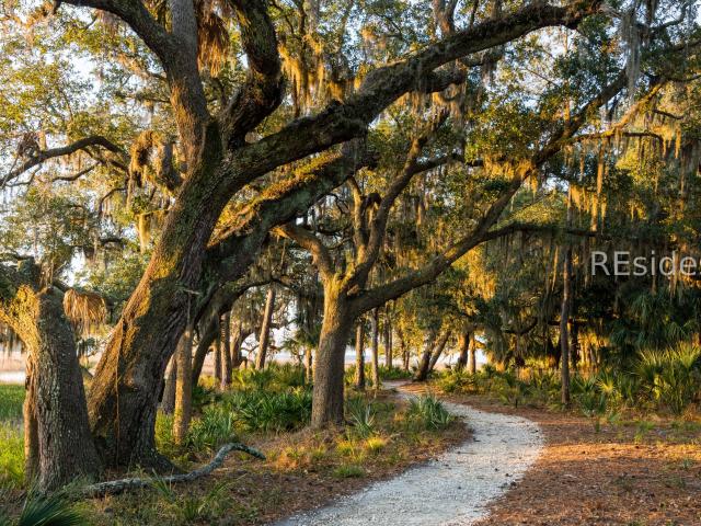 19 Melia St, Bluffton, SC 29910 | MLS #503581 | Compass