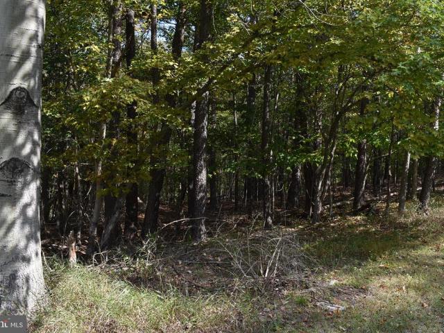 19 Mountain Laurel Drive