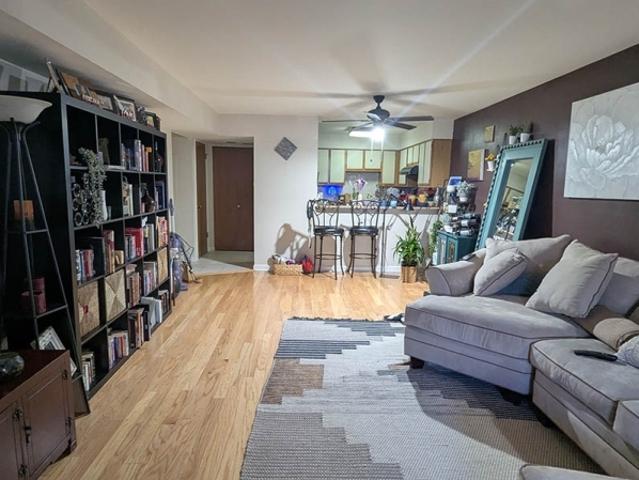 19 Plauderville Ave # 110