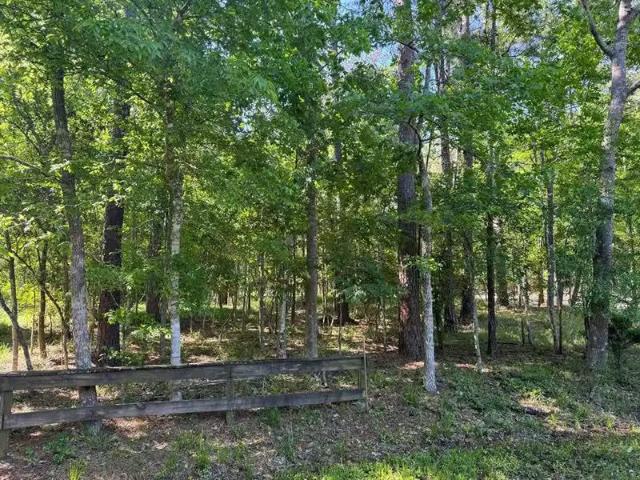 19 S Royale Greens Dr, Coldspring, TX 77331
