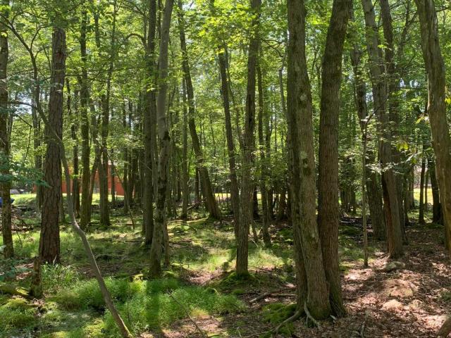 19 Sunshine Dr, White Haven, PA 18661 | MLS #PM 131908