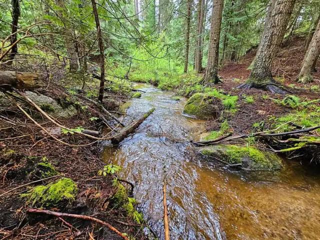 19XX FLORA RD, COLVILLE, WA 99114 Vacant Land For Sale MLS# 4.