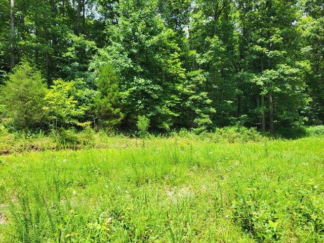 1 MT Carmel Rd, Mosheim, TN 37818