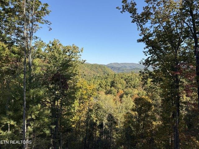 1 Mule Unit 122, Sevierville, TN 37862