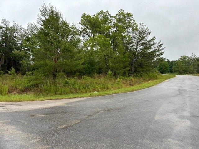 1 Malauka Radial Dr, Ocklawaha, FL 32179