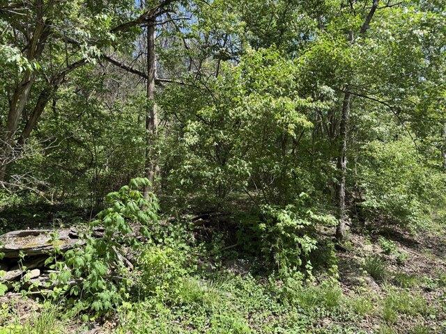1 Martin Ln, Lancaster, KY 40444