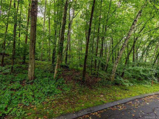 1 Michael Dr, Plymouth, CT 06786 | Compass