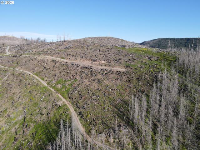 1 Middle Horse Creek RD