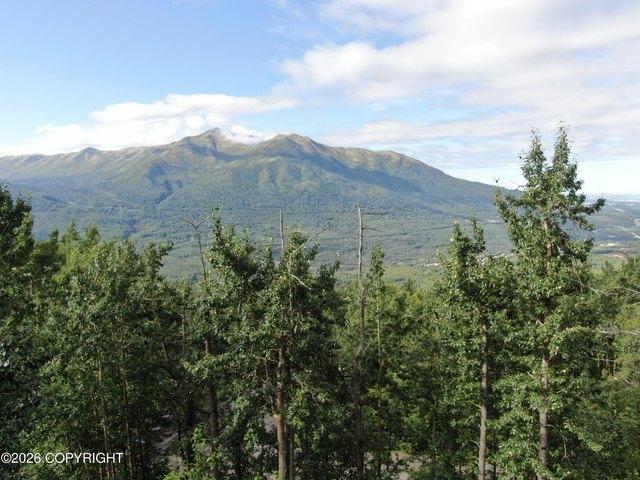 1 Mile Hi Way, Eagle River, AK 99577