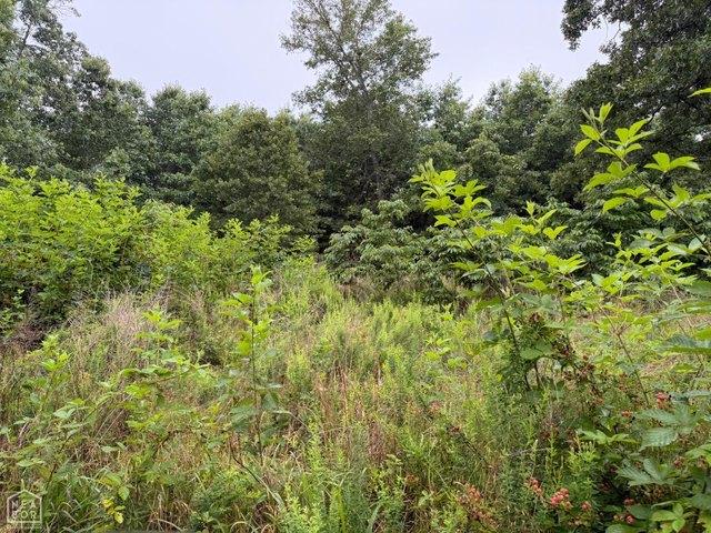 1 Morgan Cave Rd, Pyatt, AR 72601