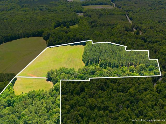 1 Mountain Creek Road