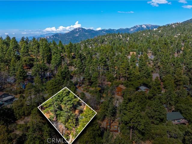 1 Mountain View Dr, Idyllwild, CA 92549 | MLS #CV26030