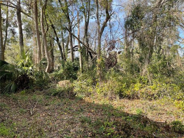 1 NW 135th Ter, Alachua, FL 32615 | MLS #GC531499