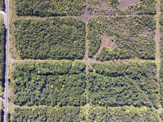 1 N Glenwood Rd, Mountain View, HI 96771 | MLS #719797