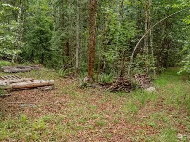 1 N DOW RIDGE RD, HOODSPORT, WA 98548 Vacant Land For Sale ML.