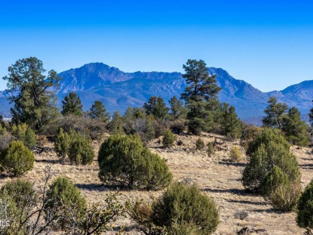 1 N Las Vegas Road #, Prescott, US, AZ