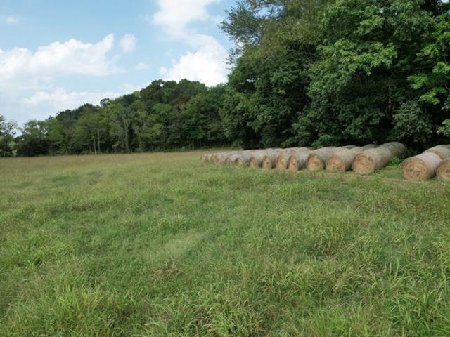 1 N Lick Creek Rd, Franklin, TN 37064