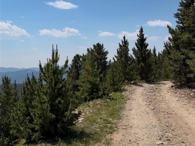 1 Nebraska Dr, Idaho Springs, CO 80452 | MLS #9217