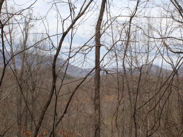 1 Nelson Ridge Rd, Hayesville, NC 28904 | MLS #402887