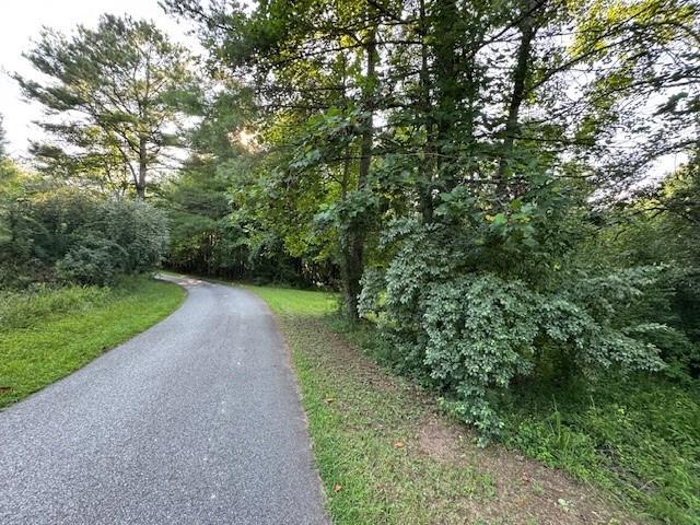 1 Newberry Dr, Mineral Bluff, GA 30559 | MLS #417532