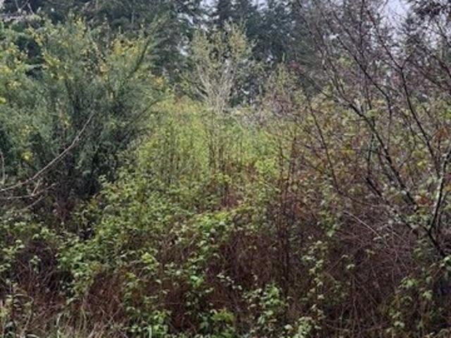 1 Nka Katherine St Lot 1, Port Townsend, WA 98368