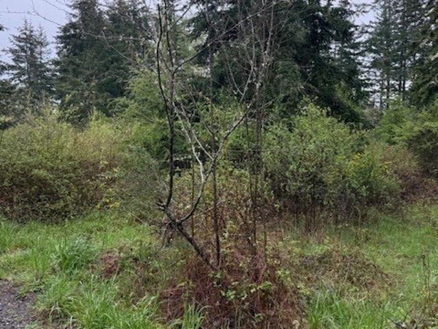 1 nka Katherine St, Port Townsend, WA 98368 | MLS #2504
