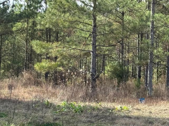 1 Norris Homewood Rd, Lake, MS 39092 | MLS #4132 | Compass