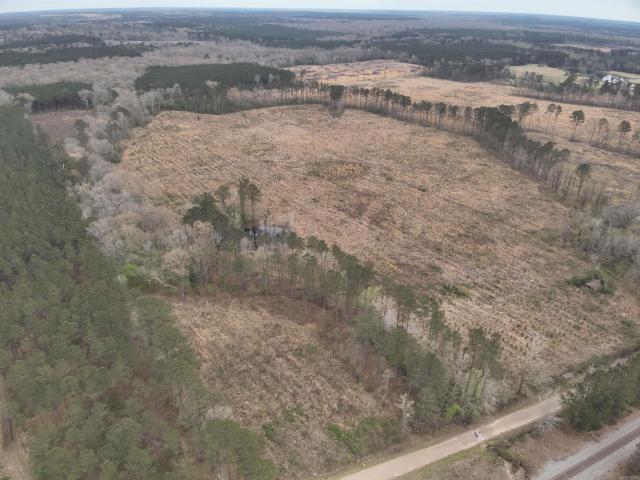 1 Ouachita CR 101