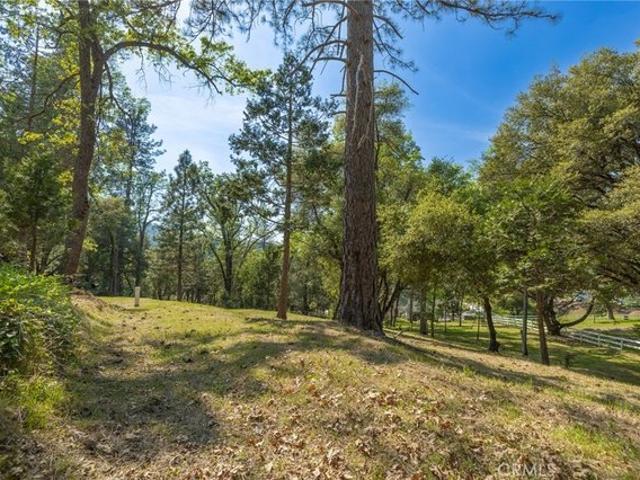 1 Oak Ln, Oakhurst, CA 93644