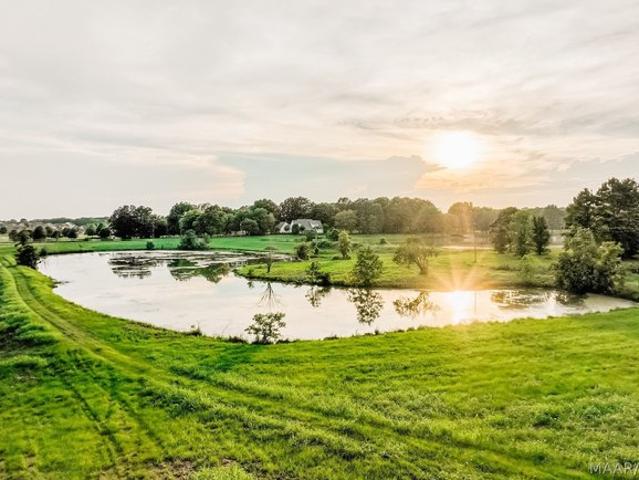 1 Okfuski Trl, Pike Road, AL 36064