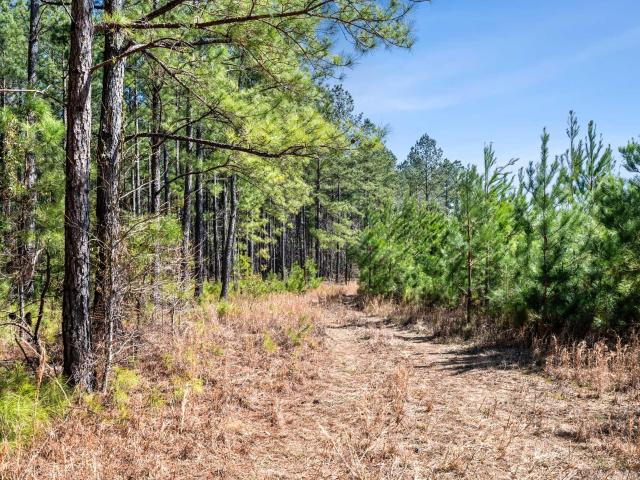 1 Old Congaree River Run