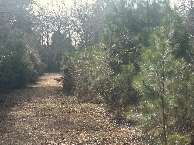 1 Old Jacksonboro Rd, Ravenel, SC 29470
