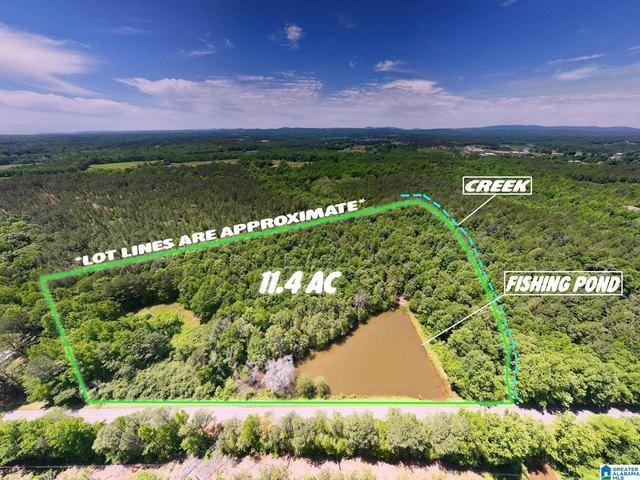 1 Old Mill Rd Lot 0, Ashland, AL 36251